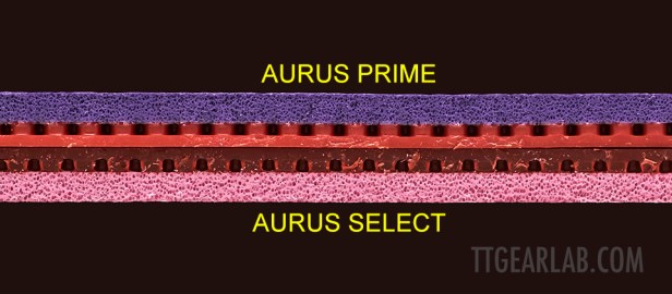 Tibhar Aurus Prime & Aurus Select [Field Test Report] – TTGearLab