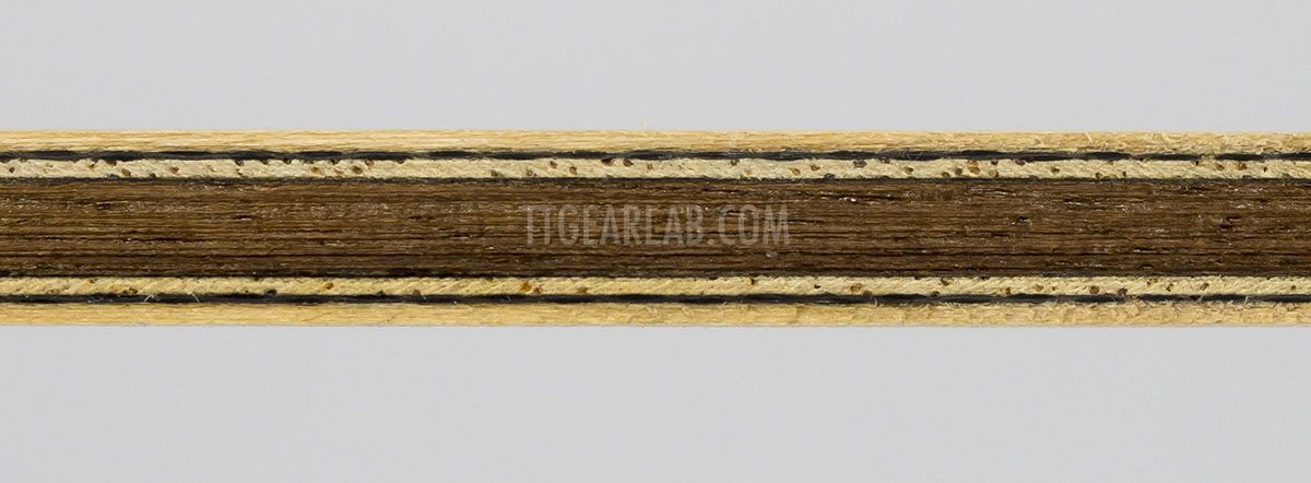 Tibhar Quad Wing Power [Photos & Information] – TTGearLab