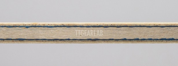 Donic Anders Lind HexaCarbon [Photos & Information] – TTGearLab